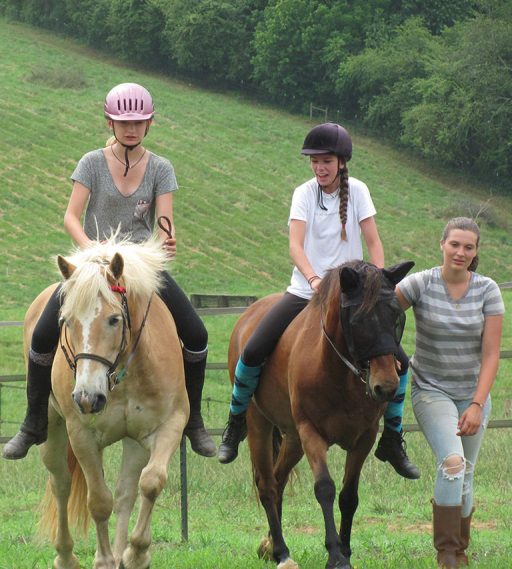 Keeping School Horses Sane || HorseSense Learning Levels