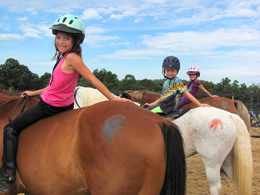 #horsecamps || HorseSense Learning Levels