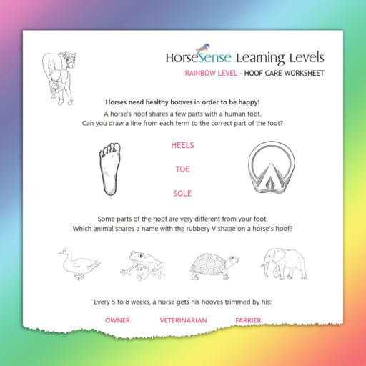 Hoof Care Worksheet – Rainbow Level || HorseSense Learning Levels